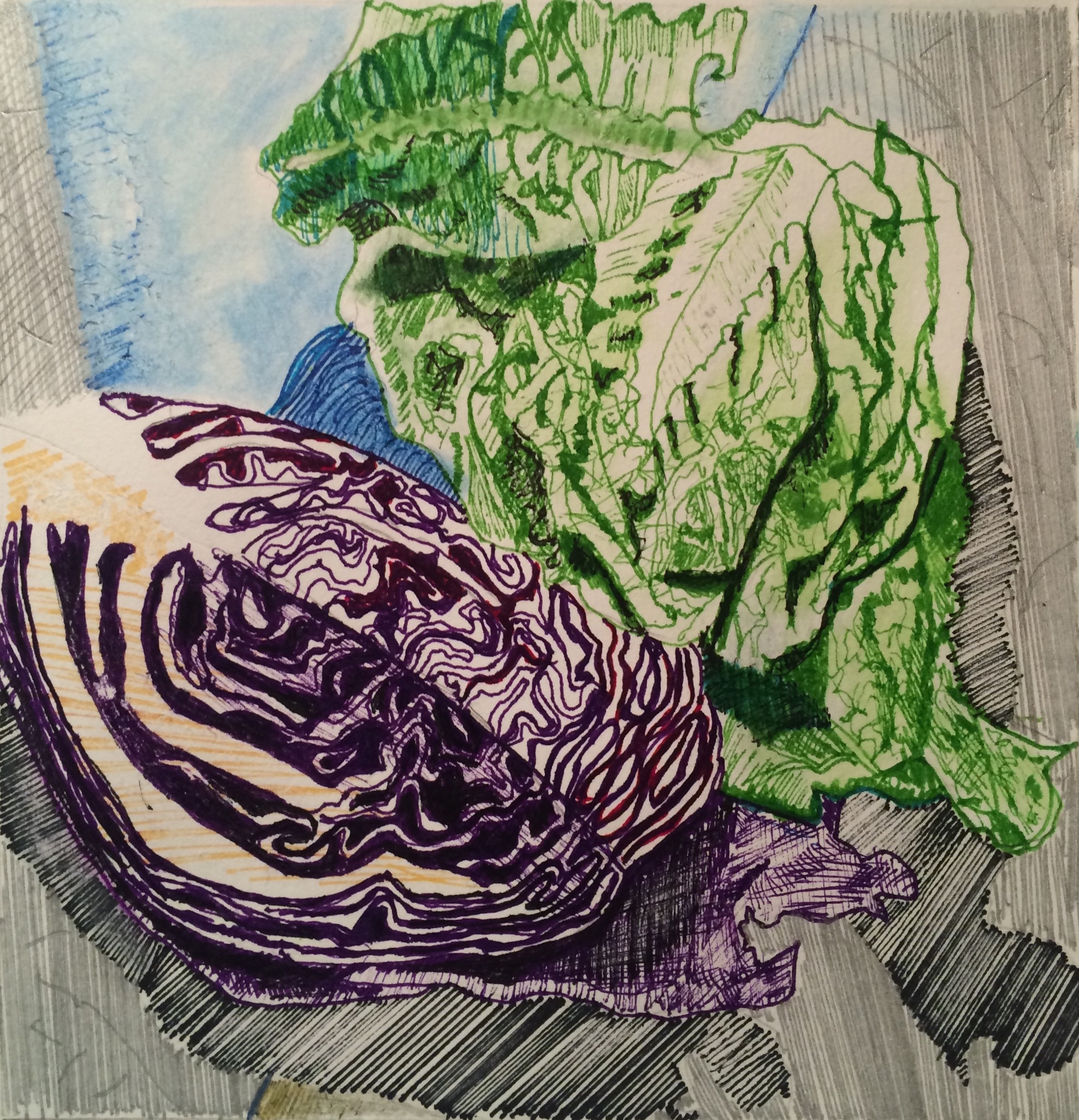 Biro drawings – Drawing As Critique